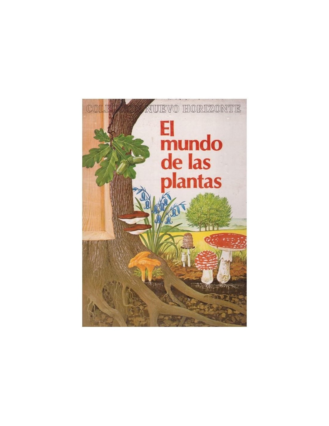 EL MUNDO DE LAS PLANTAS
