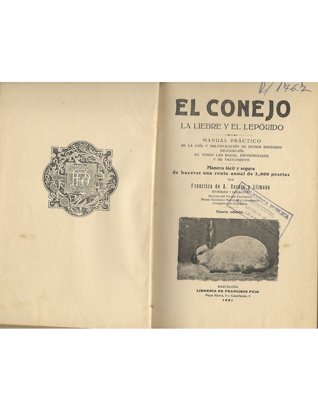 EL CONEJO LA LIEBRE Y EL LEPÓRIDO