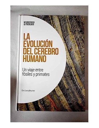 LA EVOLUCIÓN DEL CEREBRO HUMANO un viaje entre fósiles y primates